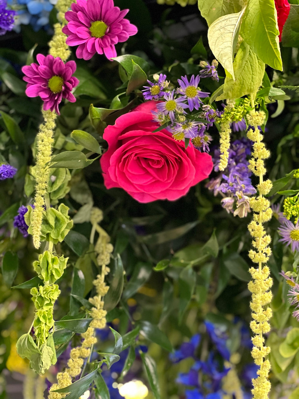 Collections – The Plant Hatch