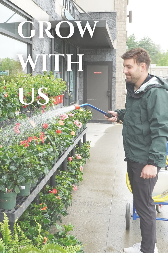 Careers – The Plant Hatch