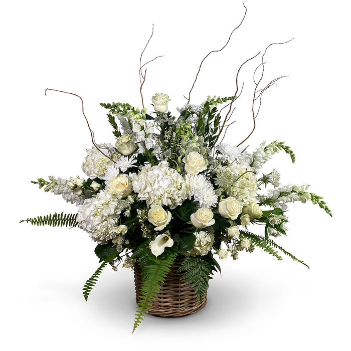 Sympathy – The Plant Hatch