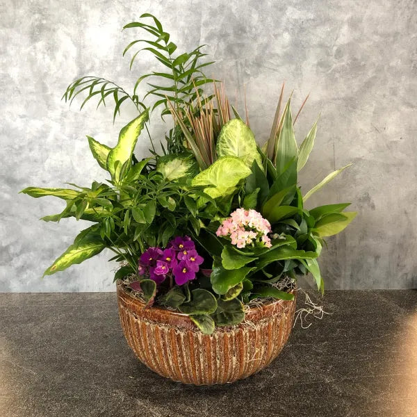 Nature’s Garden Arrangement - Clifton Park, NY – The Plant Hatch